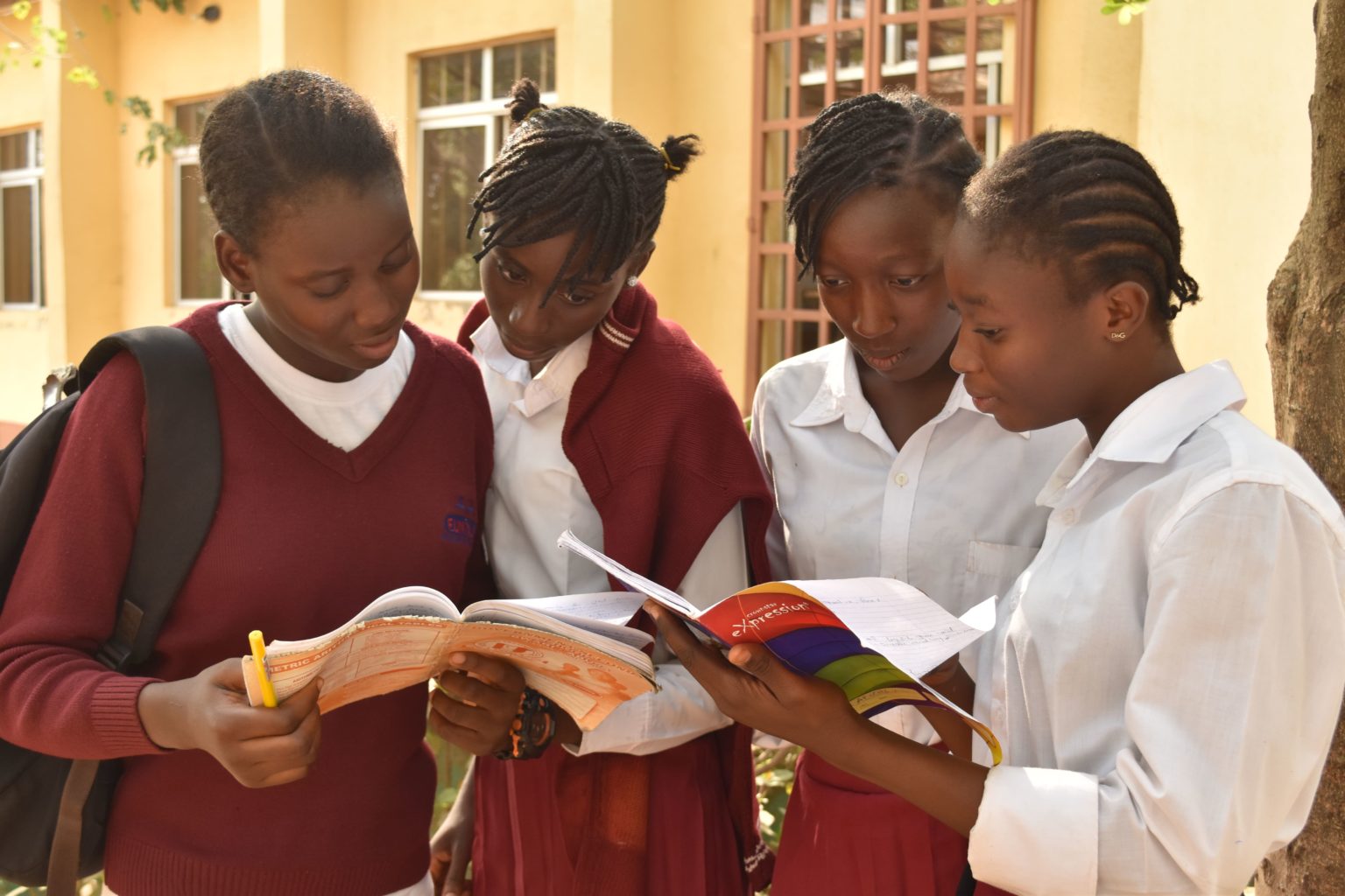 Girls’ education: measuring access and learning through the Global ...