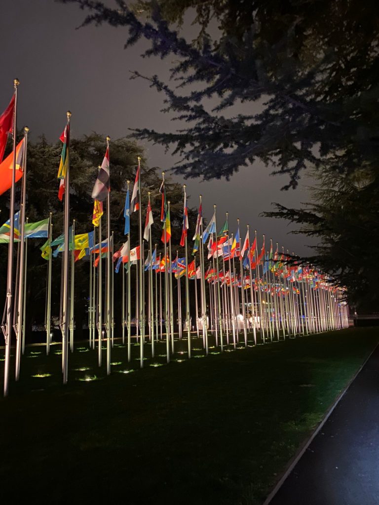 flags night | Foreign, Commonwealth & Development Office Blogs